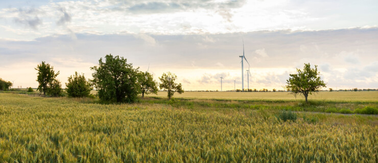 swissporTON - Premium Ceramic and Concrete Roof Tiles for Lasting Beauty